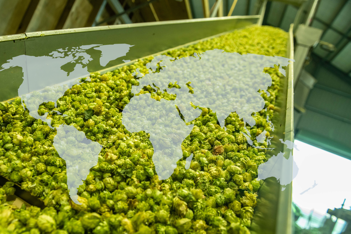 Organic Hop Distributors